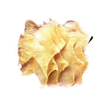 - Omega Frozen Seafood